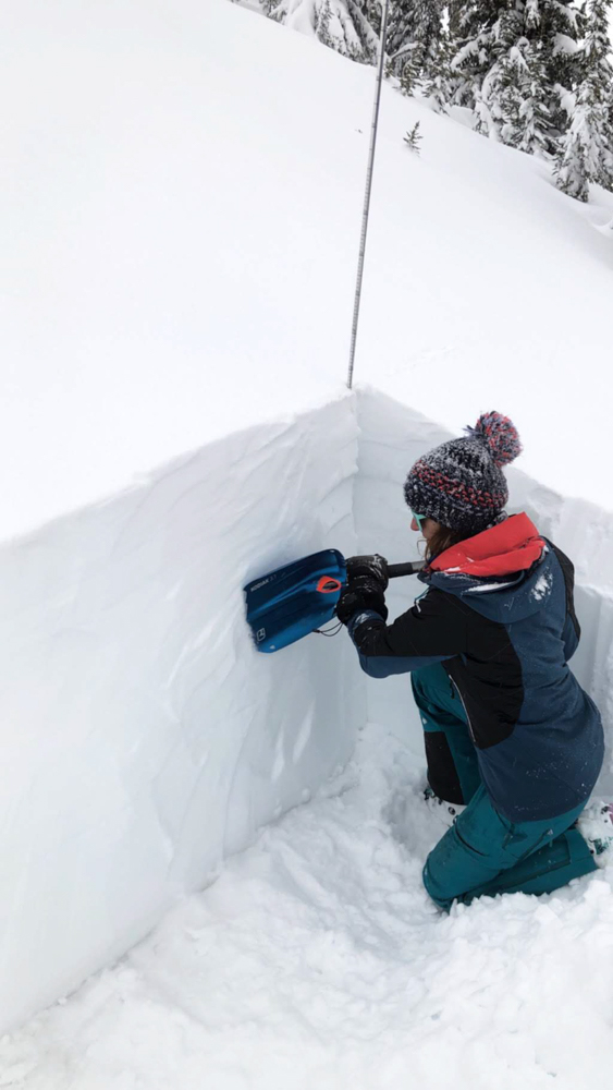 ProView - Backcountry Access Snow Saw - The Link - Gear Reviews