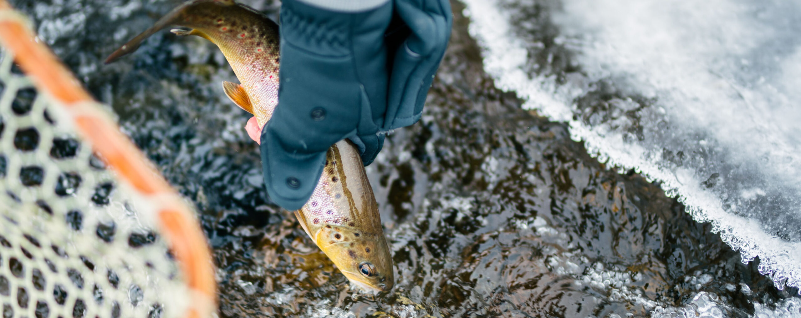 So You Want to Go Fly Fishing? Part 2 - The Link - Gear Reviews