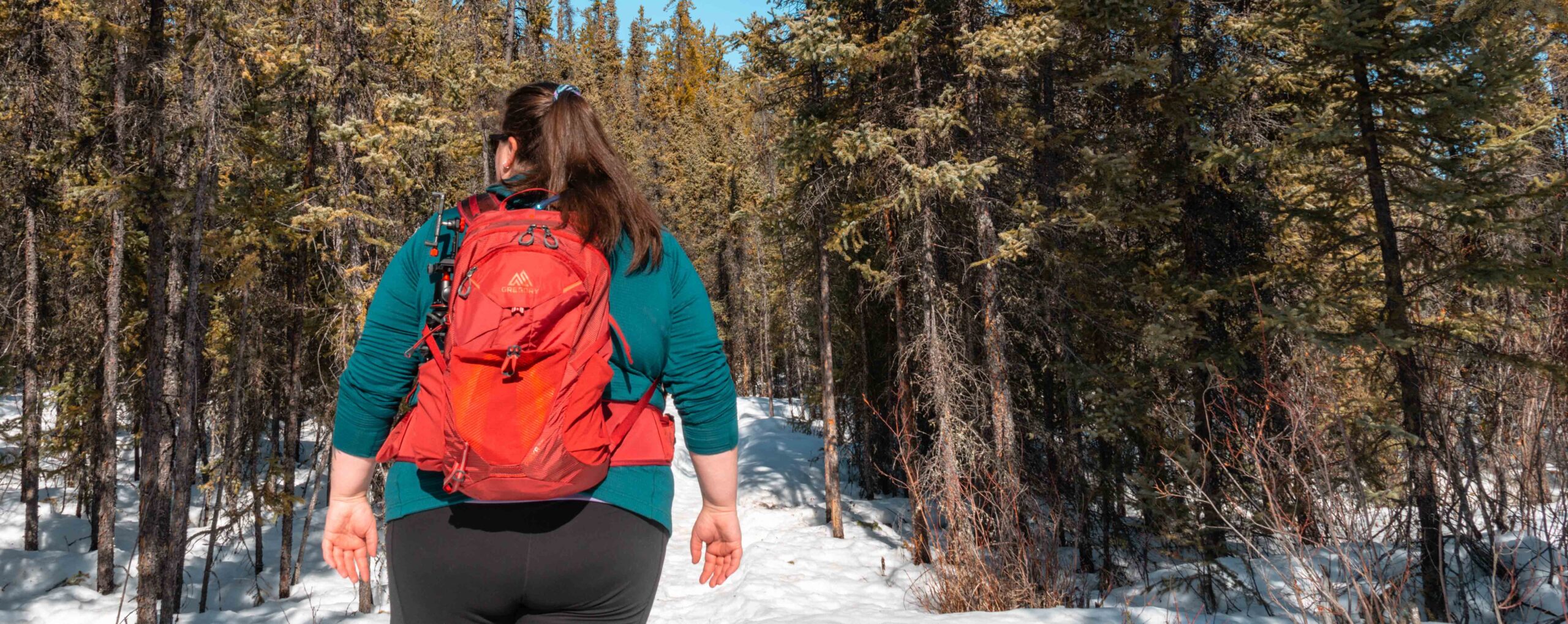 ProView - Gregory Women's Maya 20 Plus Size Review - The Link - Gear Reviews